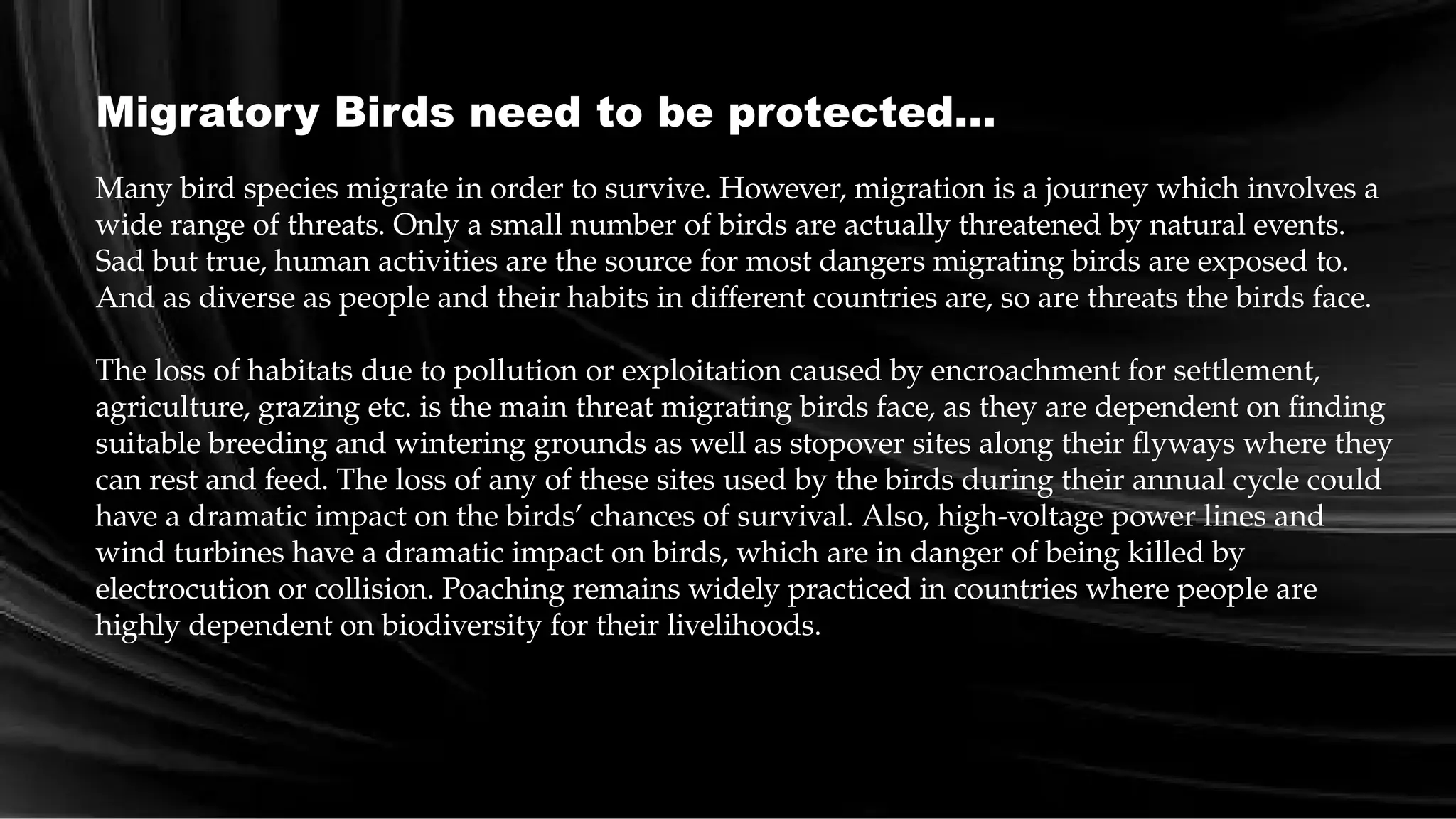 Migratory birds ppt hh.pptx . | PPTX