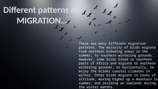 Migratory birds ppt hh.pptx . | PPTX