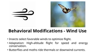 Migratory Syndrome in Migratory Insects.pptx