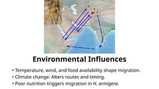 Migratory Syndrome in Migratory Insects.pptx