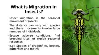 Migratory Syndrome in Migratory Insects.pptx