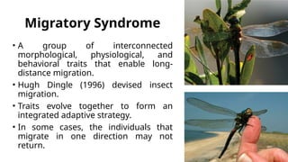 Migratory Syndrome in Migratory Insects.pptx