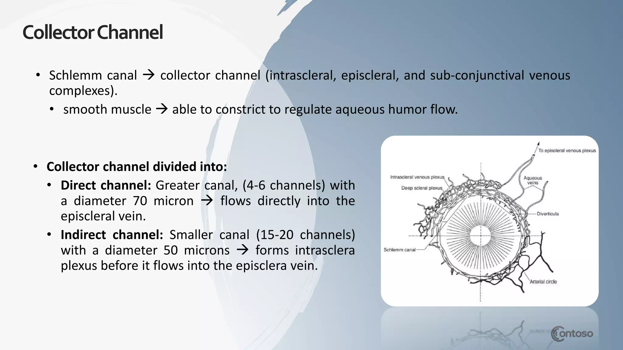 Minimally Invasive Glaucoma Surgery (MIGS) | PPT