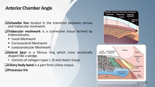 Minimally Invasive Glaucoma Surgery (MIGS) | PPT