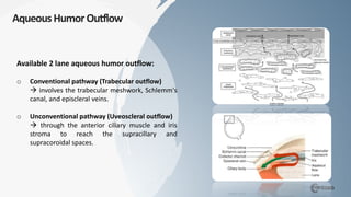 Minimally Invasive Glaucoma Surgery (MIGS) | PPT