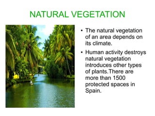 Weather and Climate | PPT