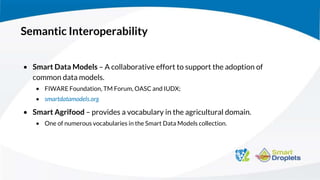 [DSC Europe 23] Mihailo Ilic - Scalable and Interoperable Data Flow Management for Digital Twin ...