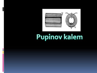 Mihajlo pupin- | PPTX