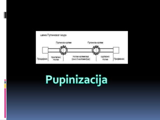 Mihajlo pupin- | PPTX