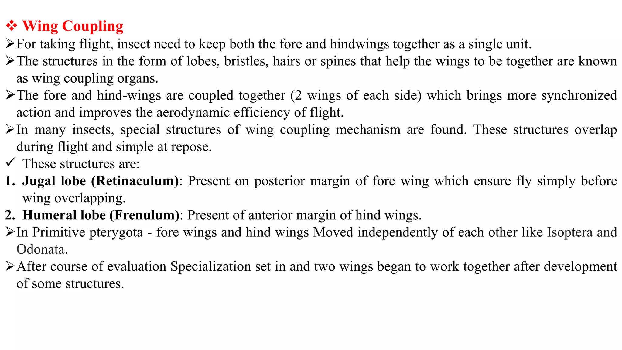 Insect Wing Venation, Wing coupling apparatus: its structure, function ...