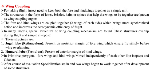 Insect Wing Venation, Wing coupling apparatus: its structure, function ...