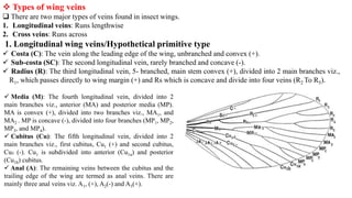 Insect Wing Venation, Wing coupling apparatus: its structure, function ...