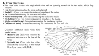 Insect Wing Venation, Wing coupling apparatus: its structure, function ...