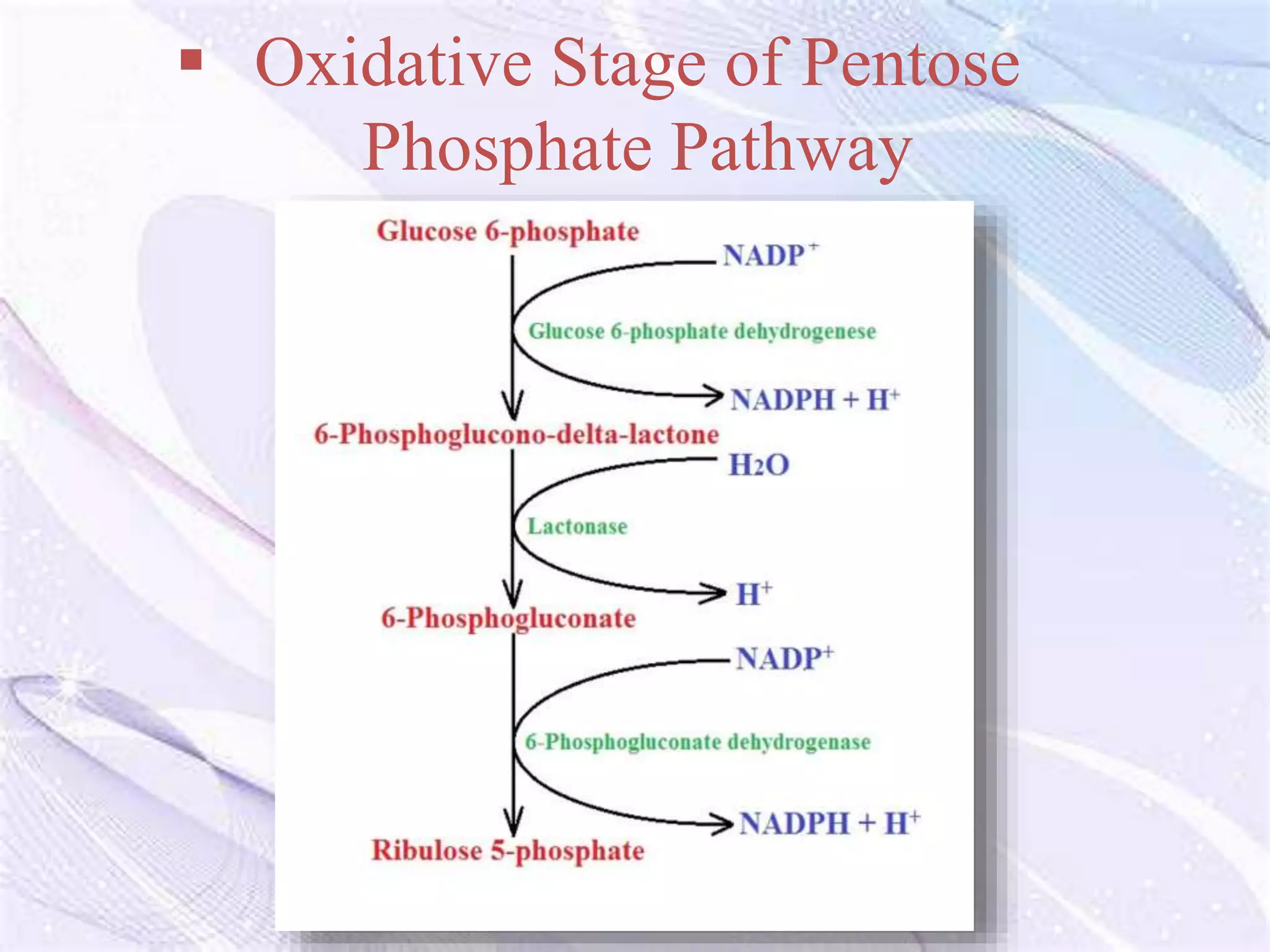 HMP PATHWAY.pptx