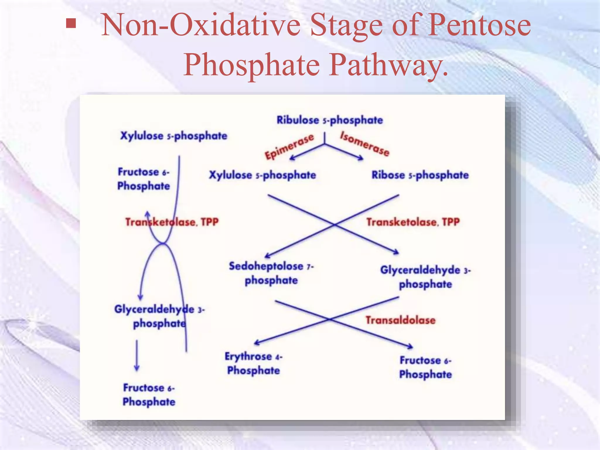 HMP PATHWAY.pptx
