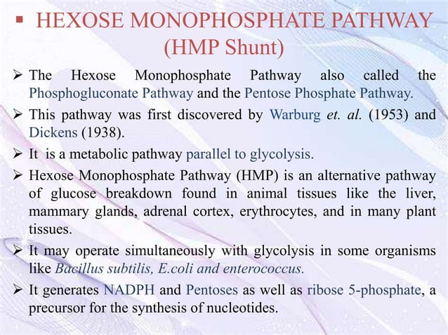 HMP PATHWAY.pptx | Endocrine and Metabolic Diseases | Diseases and ...
