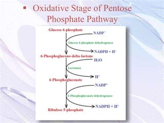 HMP PATHWAY.pptx