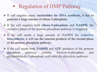 HMP PATHWAY.pptx
