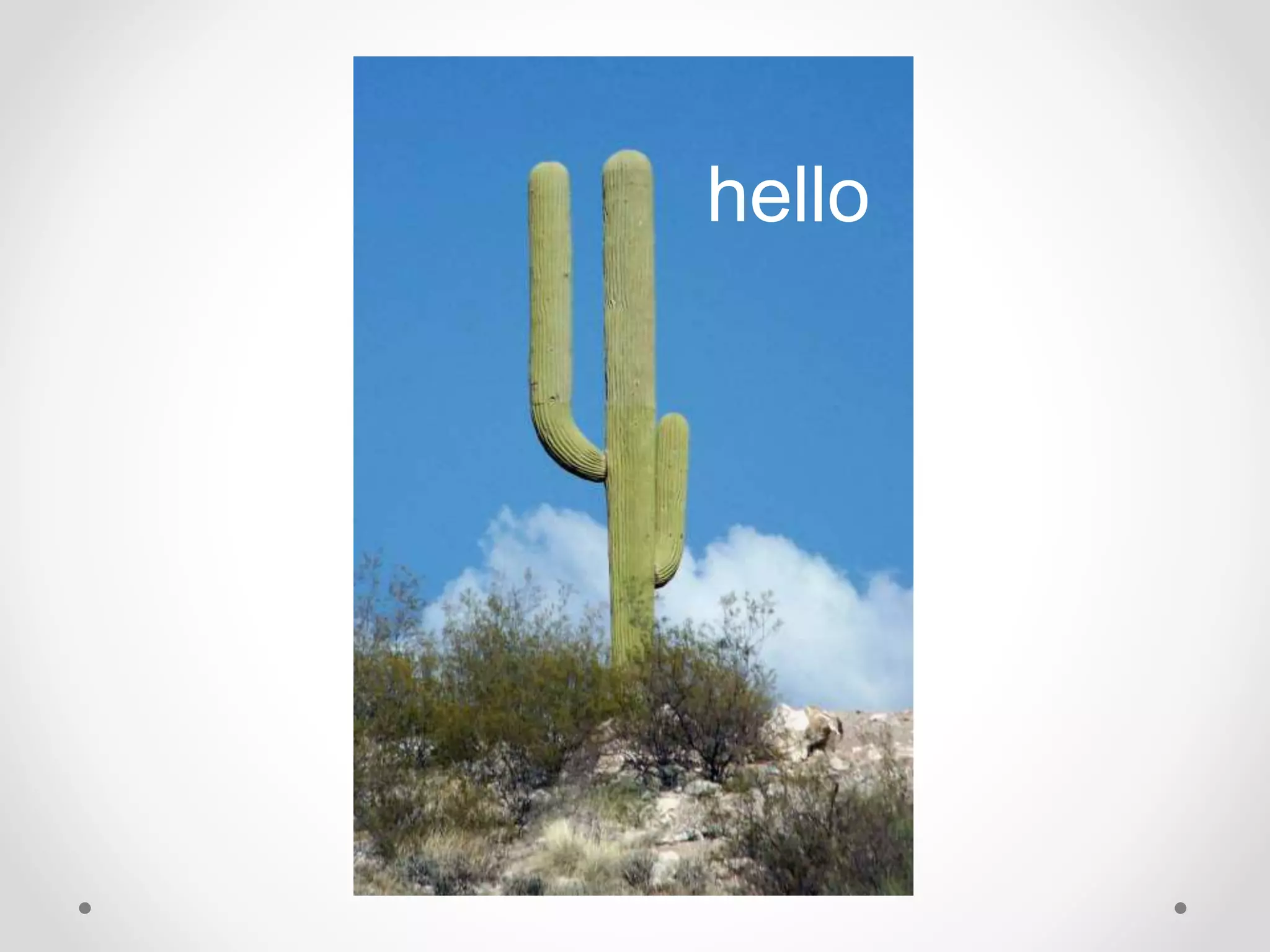 Mihnea gheorghiu publicis | PPT