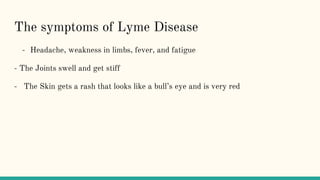 Lyme disease | PPTX
