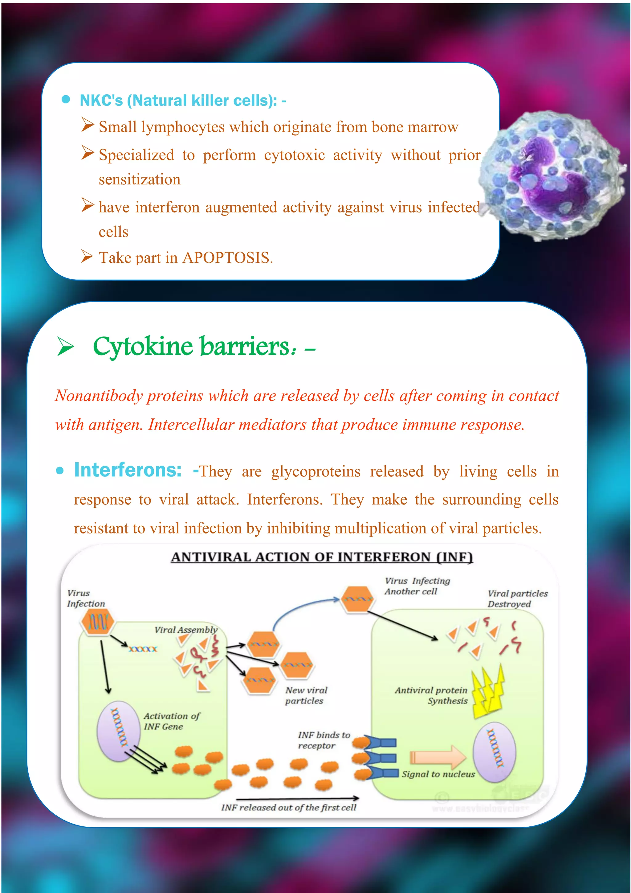 IMMUNITY AND THE IMMUNE SYSTEM | PDF | Infectious Diseases | Diseases and Conditions