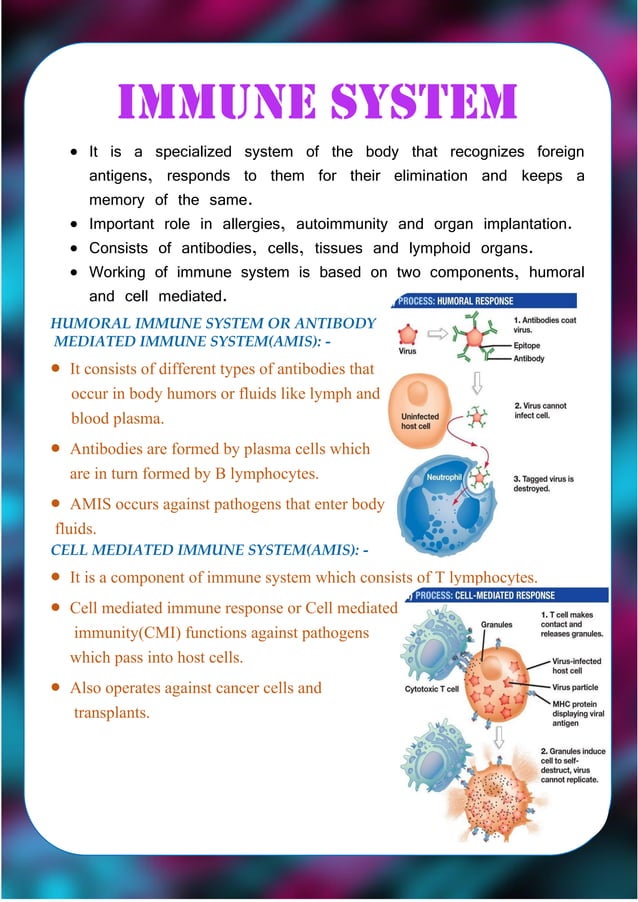 IMMUNITY AND THE IMMUNE SYSTEM | PDF | Infectious Diseases | Diseases and Conditions