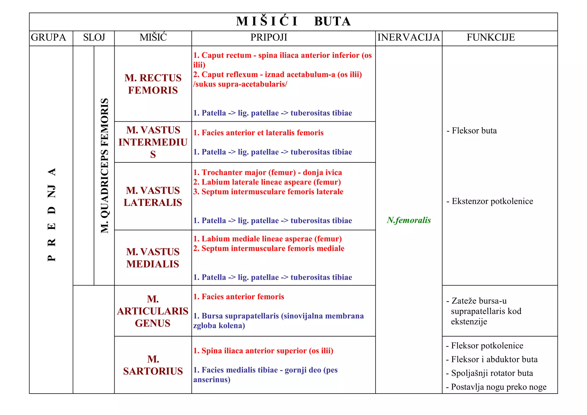Mišici kuka i noge tabele (5) | PDF