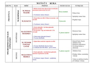 Mišici kuka i noge tabele (5) | PDF