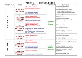 Mišici kuka i noge tabele (5) | PDF