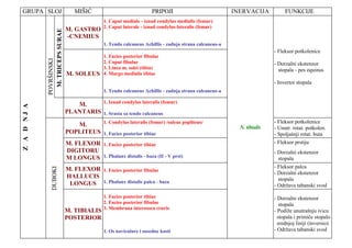 Mišici kuka i noge tabele (5) | PDF