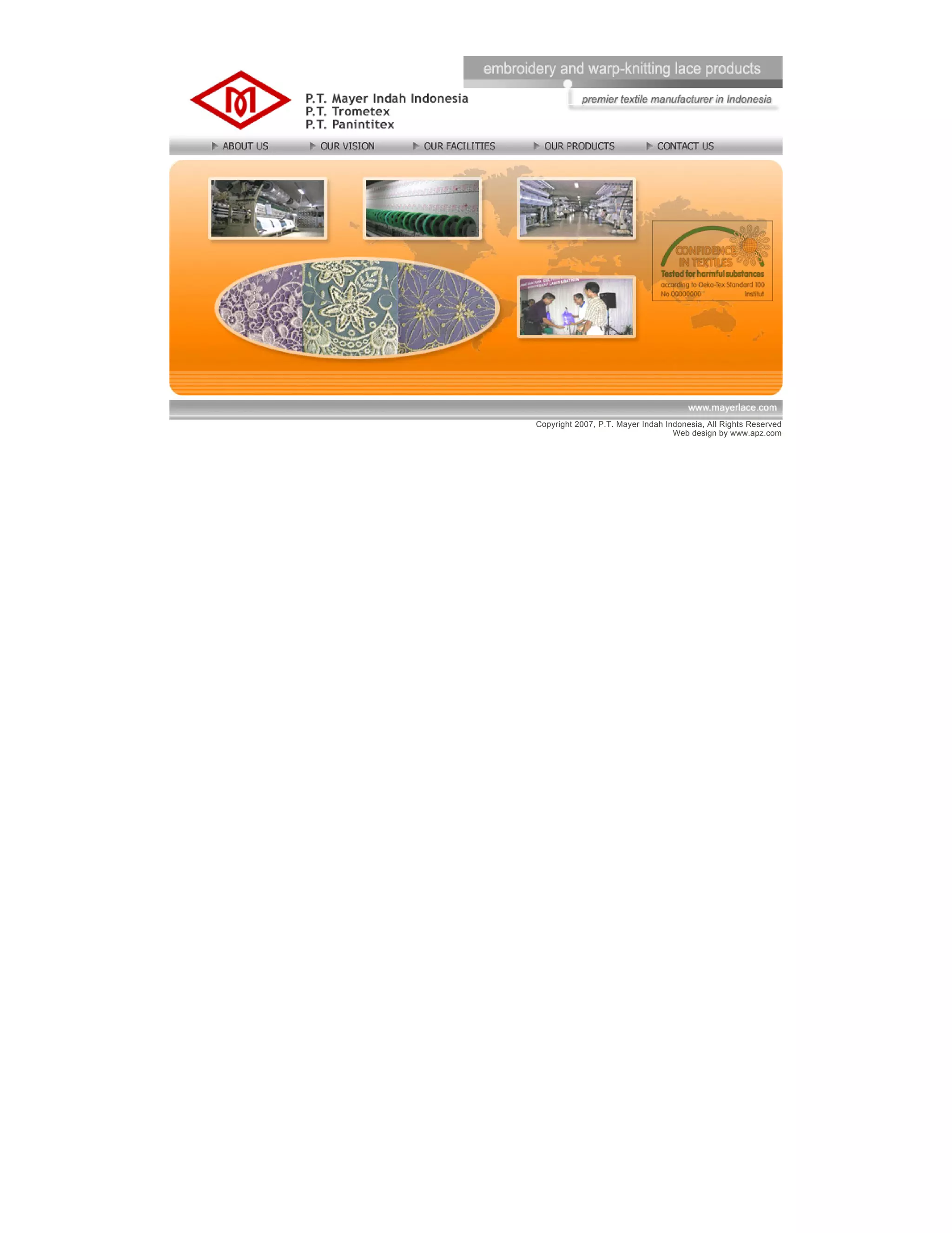 Mii Company Introduction | PDF