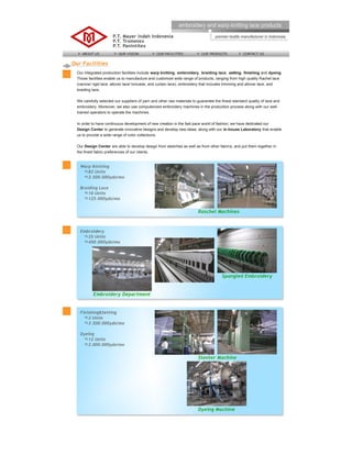 Mii Company Introduction | PDF