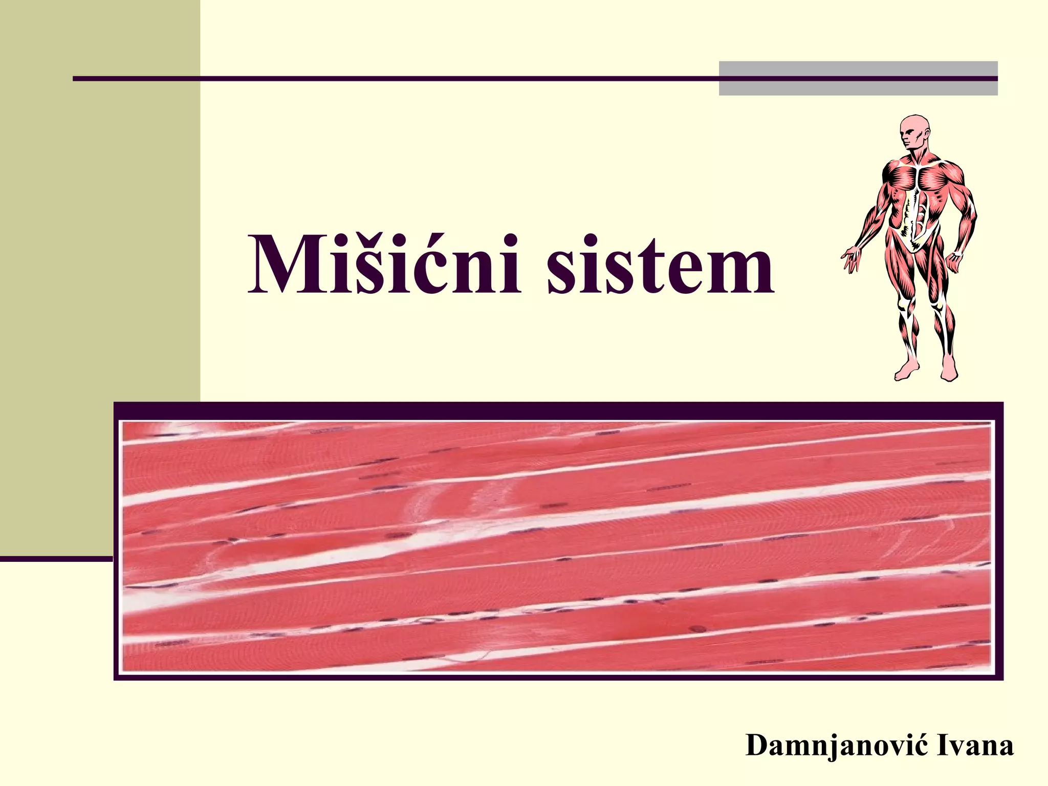 Mišićni sistem | PPT