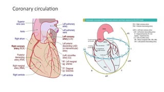 acute coronary syndrome integrated wityh biochemistry and pathology.pptx