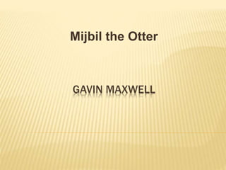 Mijbil the otter | PPTX