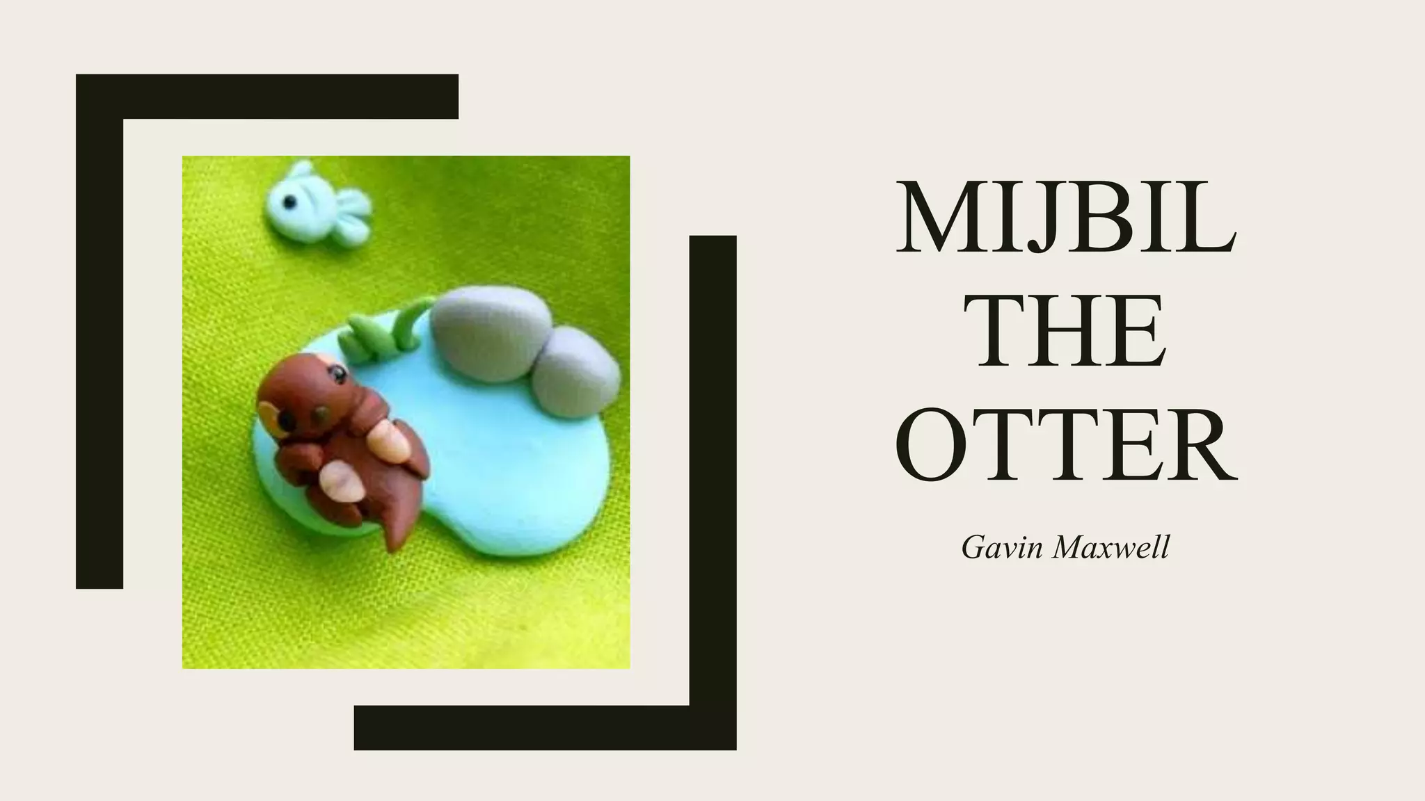 Mijbil the otter | PPTX