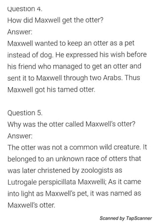 Mijbil The Otter Questions and Answers | PDF