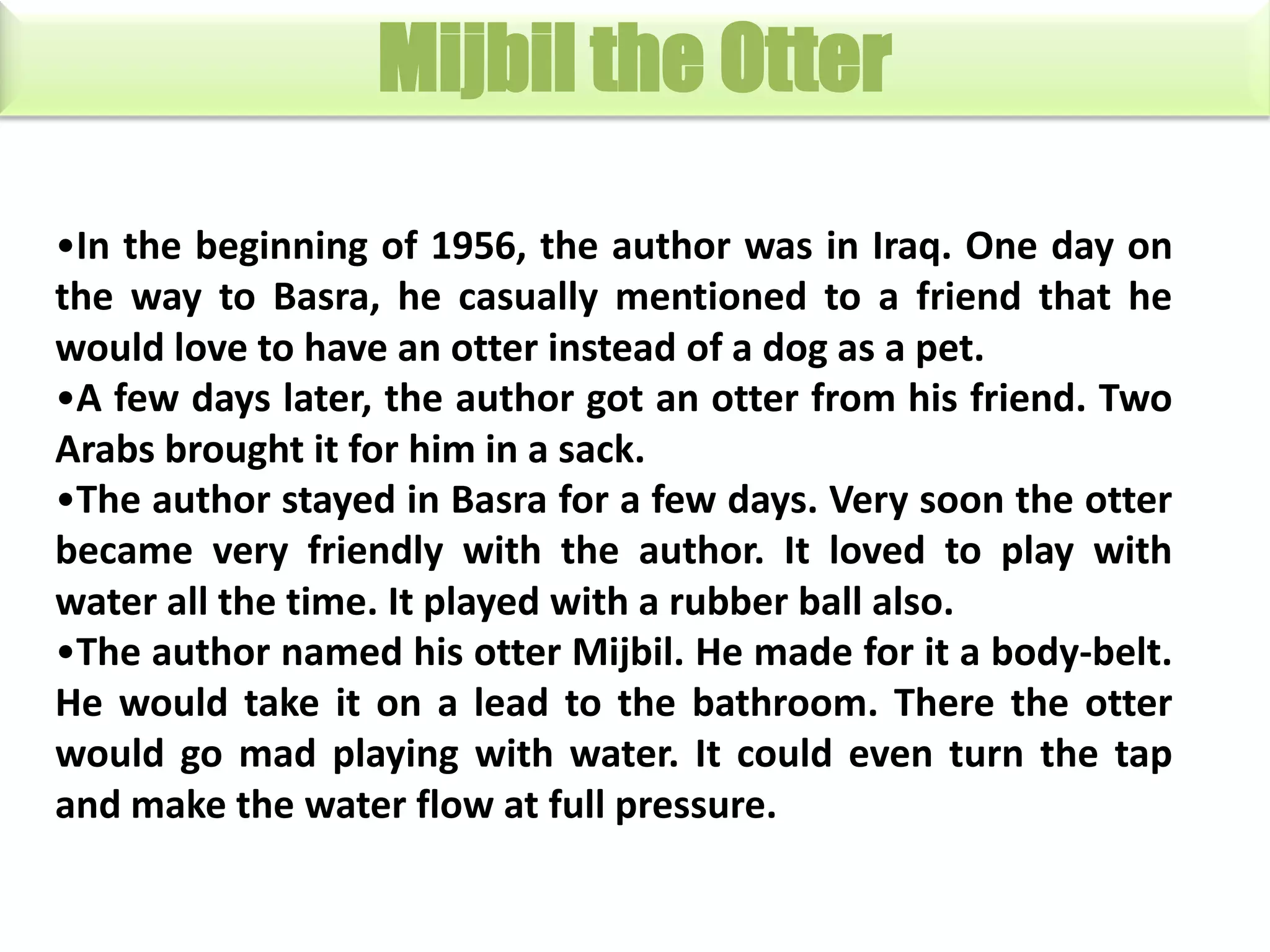Mijbil the otter presentation | PPTX