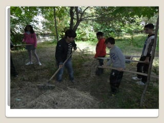 Mijin dproc hashvetvutun | PPT