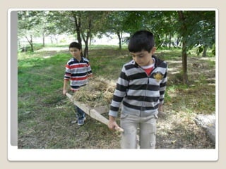 Mijin dproc hashvetvutun | PPT