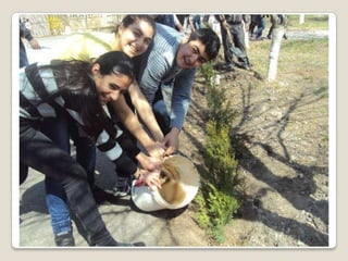 Mijin dproc hashvetvutun | PPT