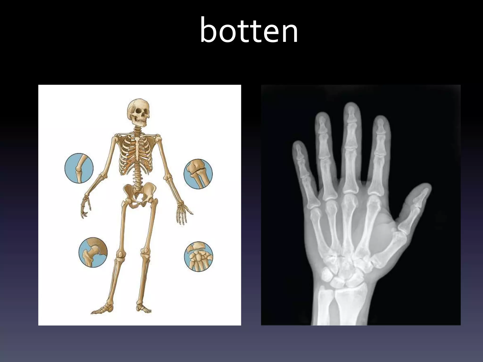 Mijn lichaam groep 1 jan14 | PPT