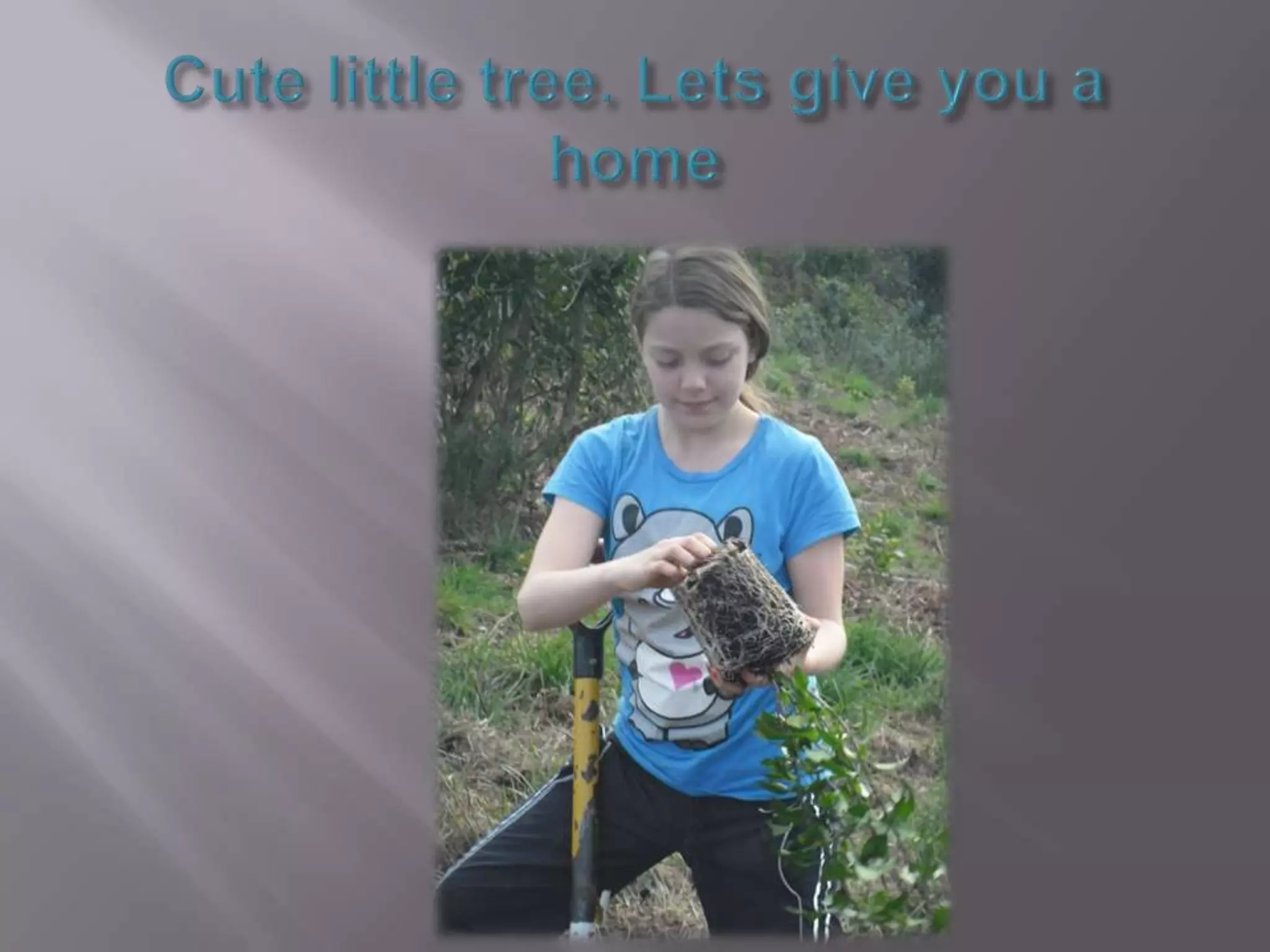 Mika tree planting | PPTX