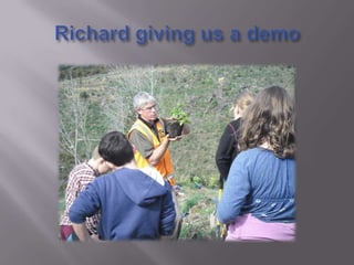 Mika tree planting | PPT