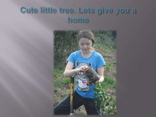 Mika tree planting | PPT