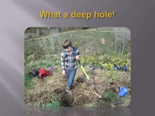 Mika tree planting | PPT