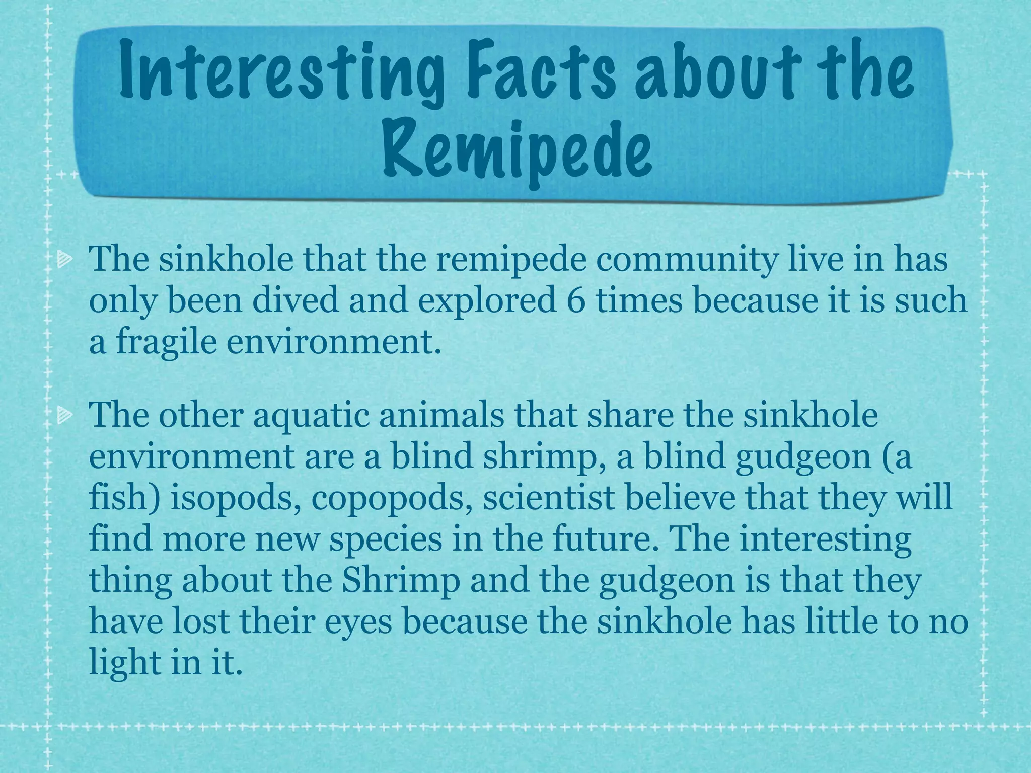 Mikayla Remipide Project | PPT