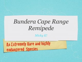 Mikayla Remipide Project | PPT