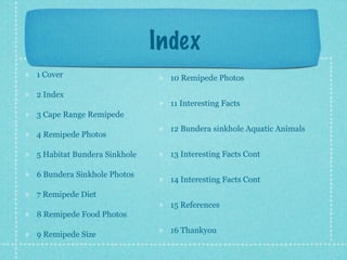 Mikayla Remipide Project | PPT