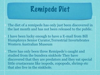 Mikayla Remipide Project | PPT